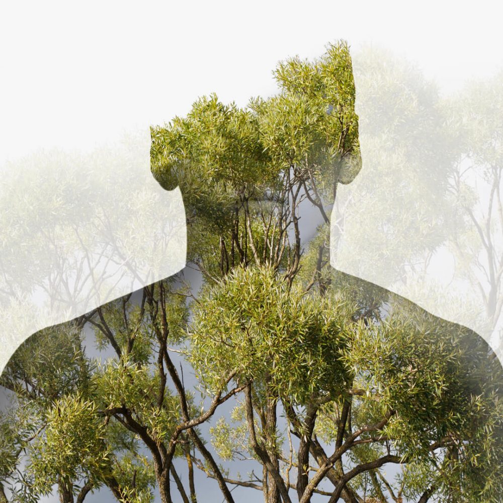 The nature of our role in an athlete's ecosystem - Paul Ehren - CISN